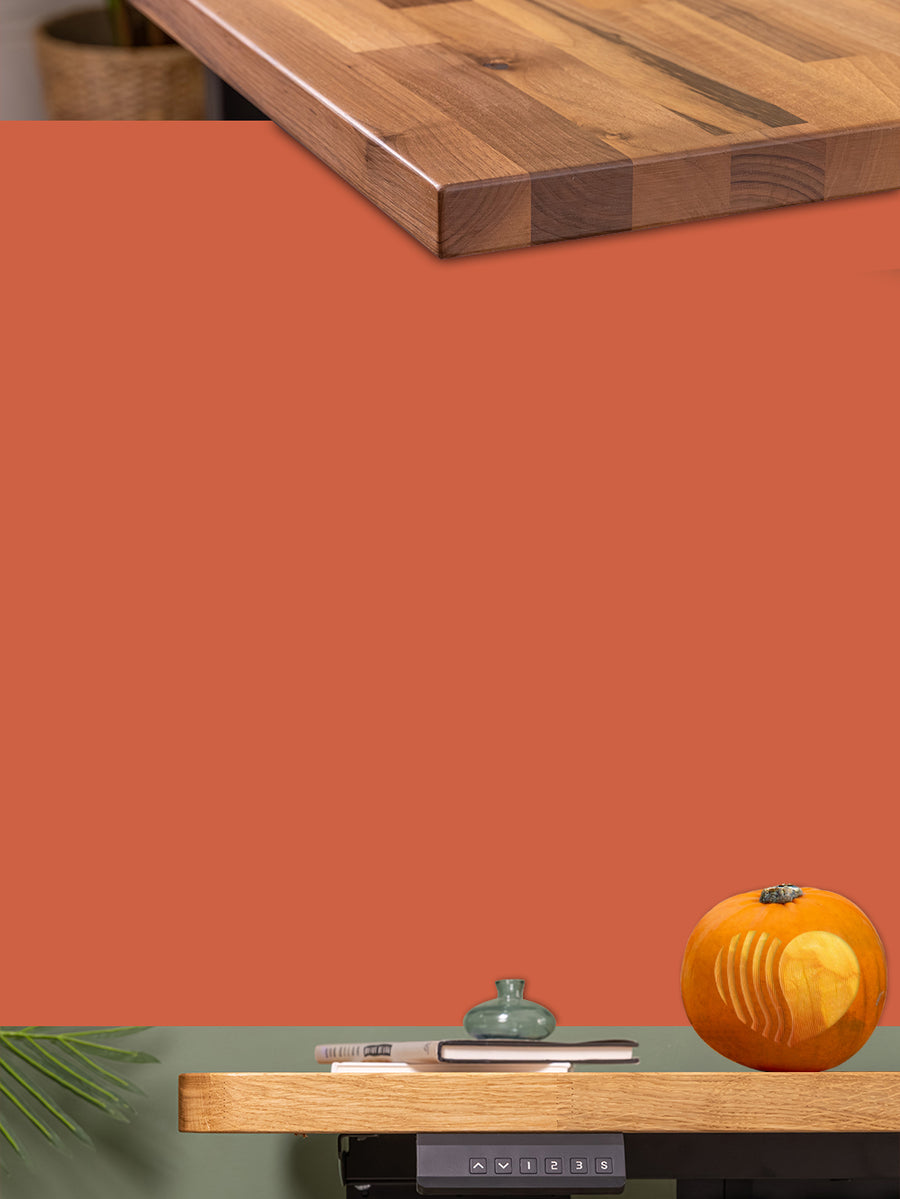 domli | sustainably sourced products for your home