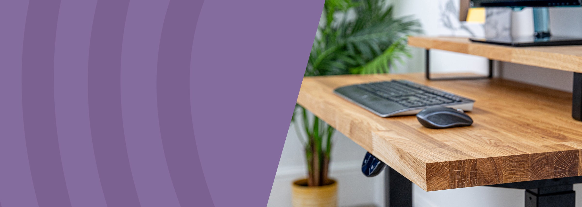 domli | sustainably sourced products for your home